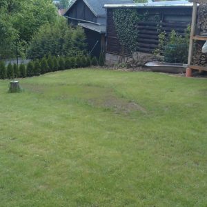 Erde sieben leicht gemacht - commaik