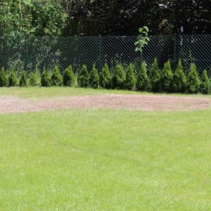 Erde sieben leicht gemacht - commaik