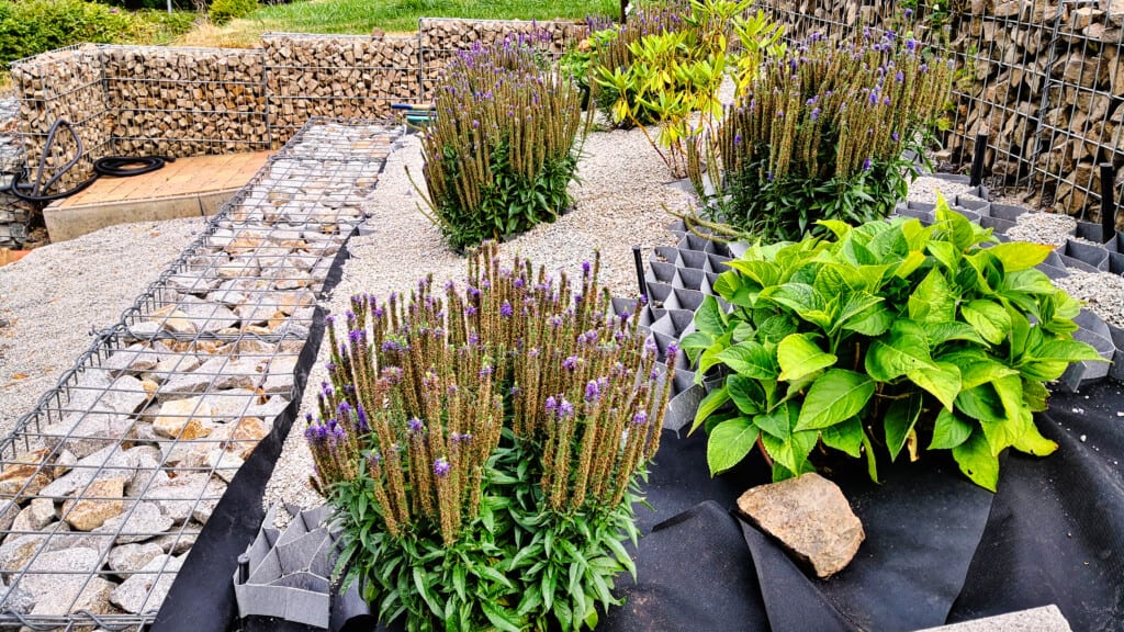 Secure raised bed on a slope with gabions and honeycomb fleece - commaik